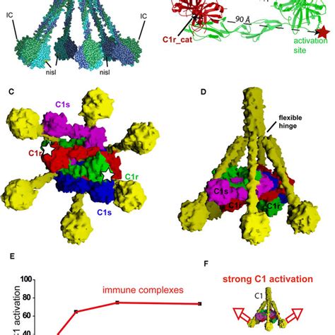 C1q Binding To Apoptotic Cell Ligands A Surface Plasmon Resonance Download Scientific
