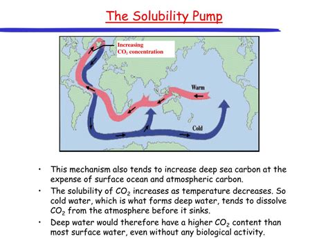 Ppt The Marine Carbon Cycle Carbonate Chemistry Carbon Pumps Sea