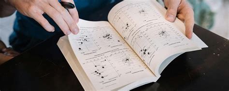 An Introduction To Dual Coding As A Studying Strategy InnerDrive
