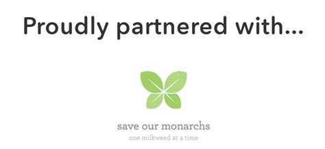 flutter tiles and monarchs designer diaries matt bahntge