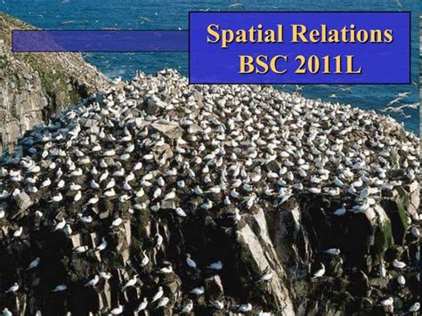 Lab 8 Spatial Relations Pptx Geography Science