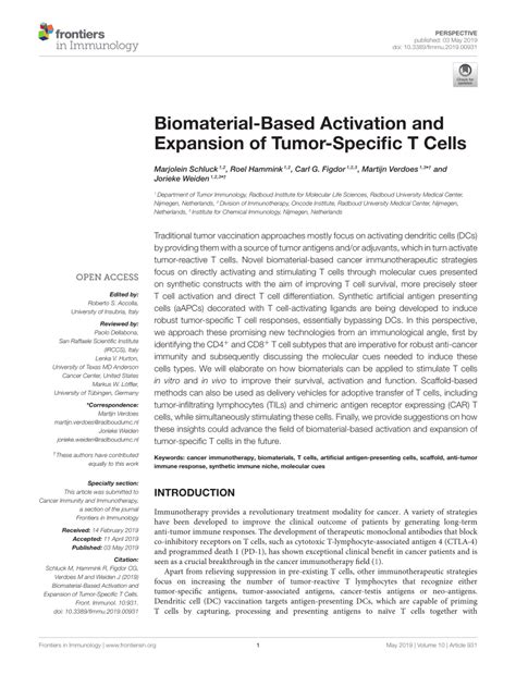Pdf Biomaterial Based Activation And Expansion Of Tumor Specific T Cells