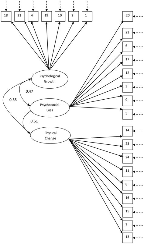 Factor Structure Of The Aaq Scale Diagrammatic Representation Of
