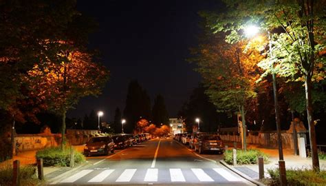 Wider Research On How Public Lighting Affects Biodiversity