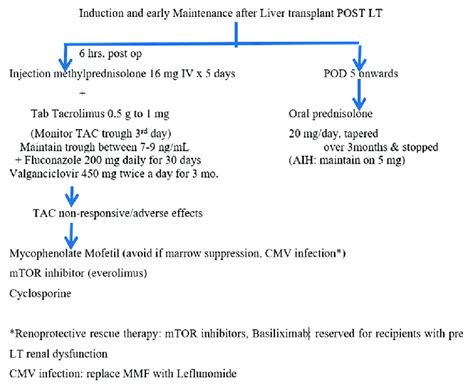 Algorithmic Approach To Induction And Early Maintenance Of Download Scientific Diagram