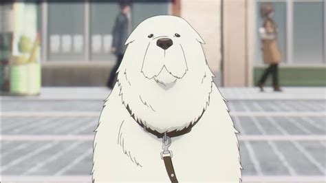 스파이 패밀리 2쿨 예고편 오프닝 공개 애니메이션 정보