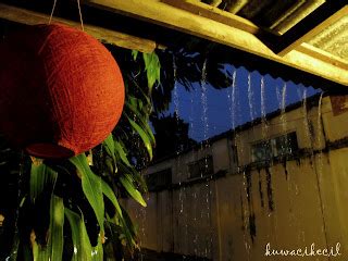 Kuwacikecil Raining Cats And Frogs