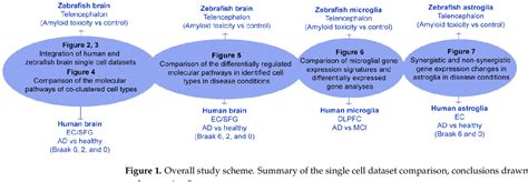Figure 1 From Single Cell Nucleus Transcriptomics Comparison In