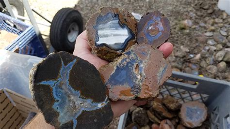 What Is A Thunder Egg Thunderegg Or T Egg Telaformosa