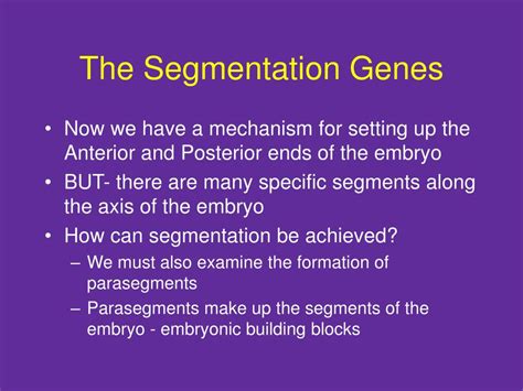 ppt genetics of axis specification in drosophila segmentation genes