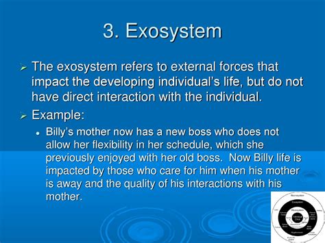 Coun 5670d Developmental Processes And Strategies Ppt Download