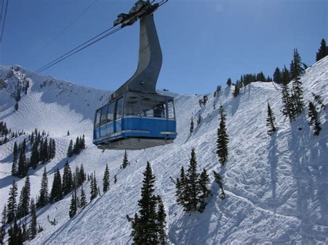 Snowbird Skiing And Snowboarding Resort Guide Evo