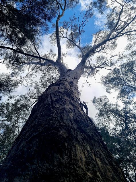 Embracing Embodied Minds