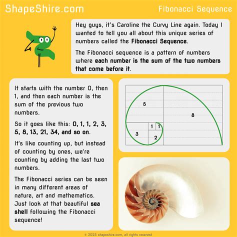 Fibonacci Sequence 1123 Shapeshire