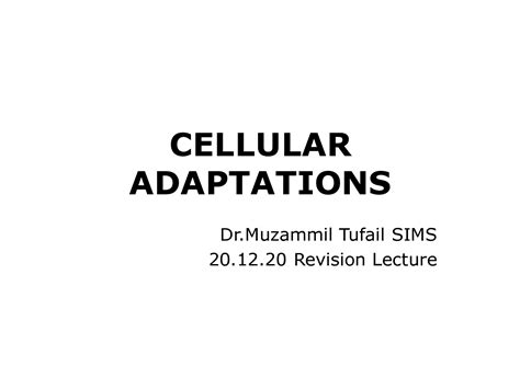 SOLUTION: Pathology of clinical adaptations of cell - Studypool