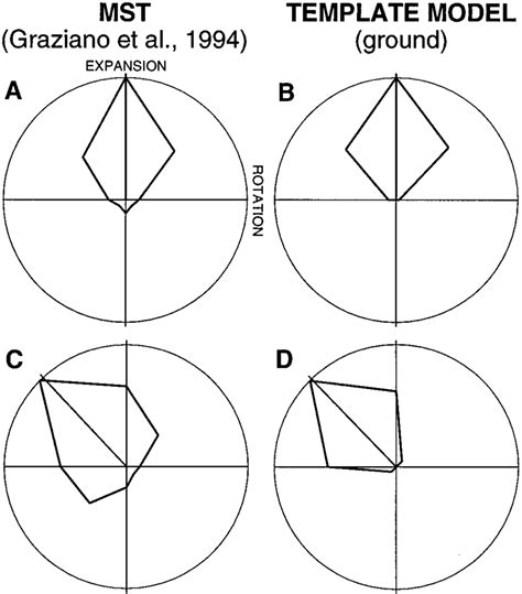 comparison of the spiral tuning of mstd neurons and ground detectors