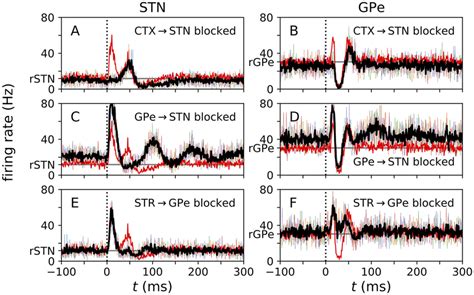 Local Blockage Of Incoming Connections Affects Evoked Responses A F Download Scientific