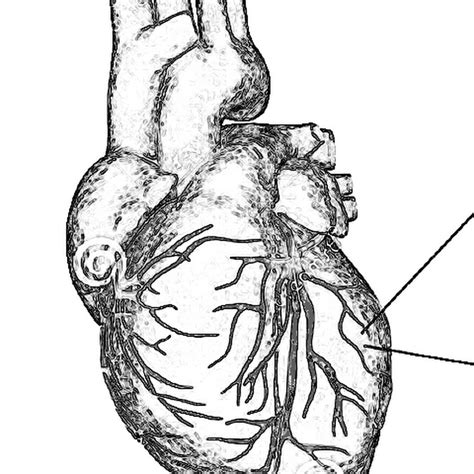 Reginaldo Ferreira Youtube