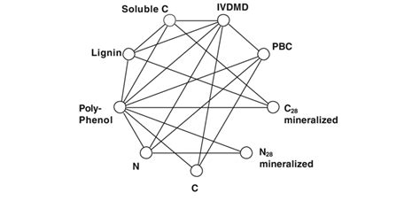 Graphical Model Showing Conditional Associations Between C And N