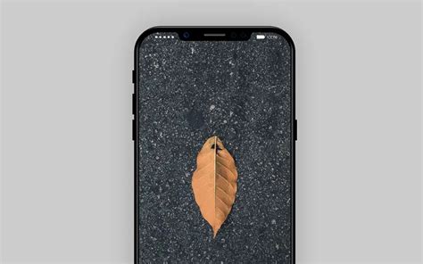 21 Best Iphones In Css 2025