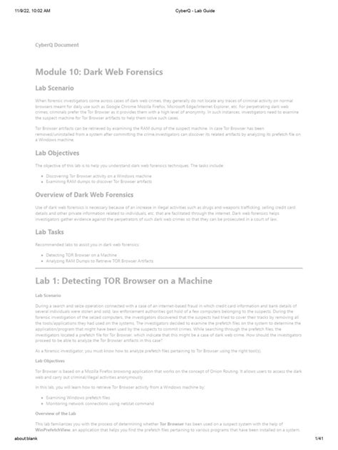 manual lab dark web forensics pdf world wide web internet and web
