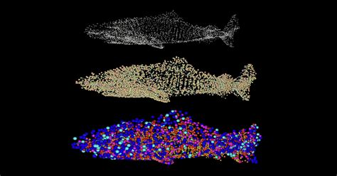 Reactive Science Design Derivative