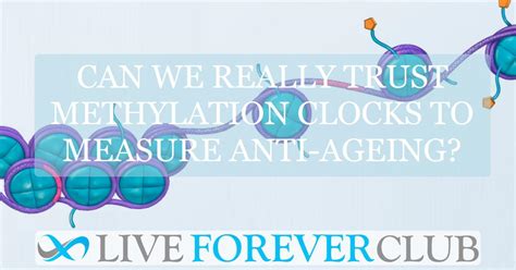 Can We Really Trust Methylation Clocks To Measure Anti Ageing