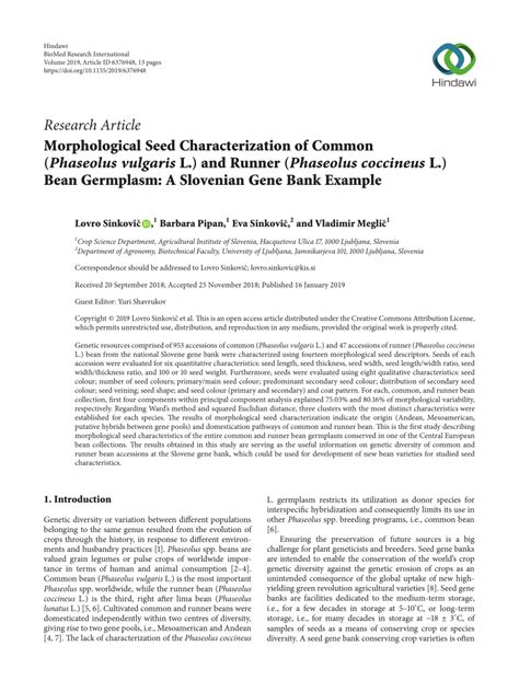 Pdf Morphological Seed Characterization Of Common Phaseolus Vulgaris L And Runner