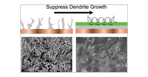 Architected Macroporous Polyelectrolytes That Suppress Dendrite Formation During High Rate