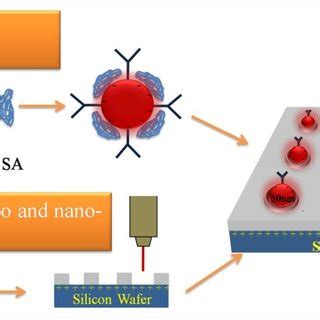Summary Of Nanofabrication Techniques For Tissue Engineering Download Table