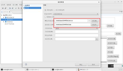 达梦（dm8）数据库备份与恢复 console工具脱机备份 达梦数据库console工具恢复备份 csdn博客