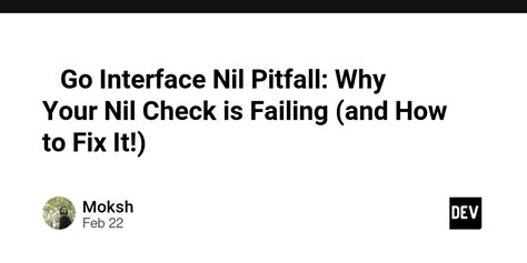 🚀 Go Interface Nil Pitfall Why Your Nil Check Is Failing And How To Fix It 🔍 Dev Community