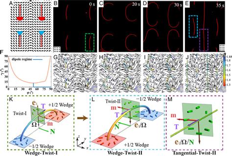 topological transformation between wedge twist and pure twist profiles