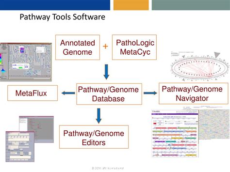 Ppt Metabolomics Applications Of The Biocyc Databases And Pathway Tools Software Powerpoint