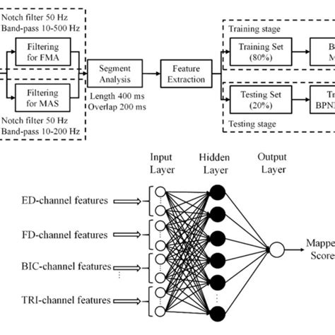 A The Procedure Of Semg Signal Processing B The Structure Of The