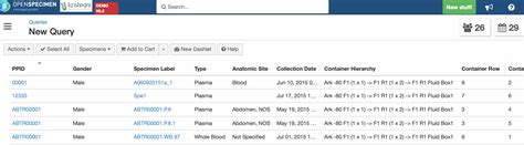 new feature in v6 2 displaying container positions in hierarchy