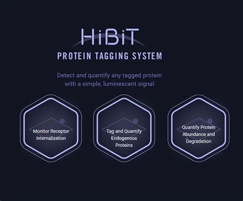Hibit Technology Brings The Power Of Bioluminescence To Protein
