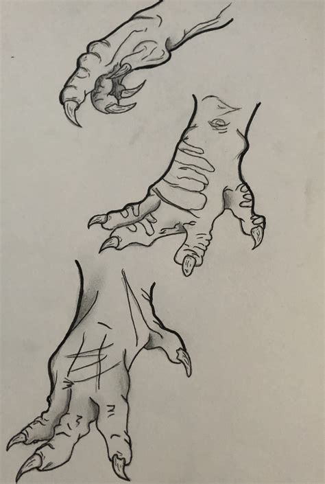 How To Draw A Dragon Foot
