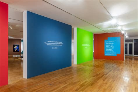 All Times At Once A Retrospective Exhibition Of Ioana Nemeș At Mnac