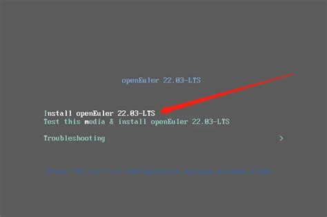 openeuler自定制生成iso openeluer iso csdn博客