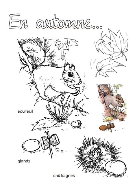 Mes Coloriages Des Saisons