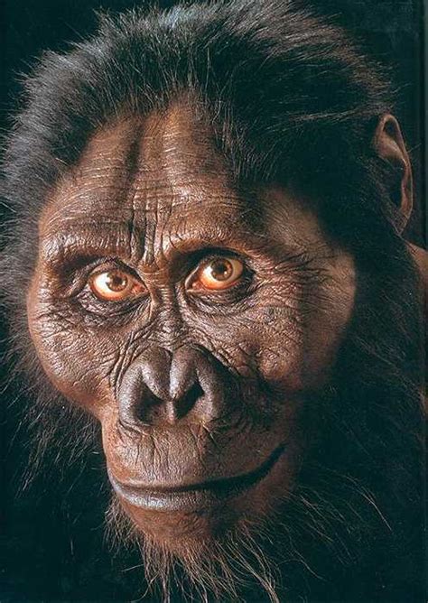 Австралопитеки (Australopithecus): предшественники человека и ключевые ...