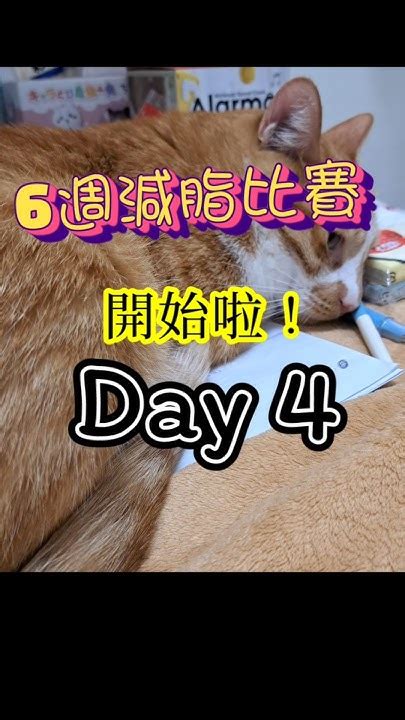 沒運動就吃少一點～是可以的吧！🤭 一顆奶雞 減脂 料理 減肥 減肥打卡 自煮 減肥日記 Youtube