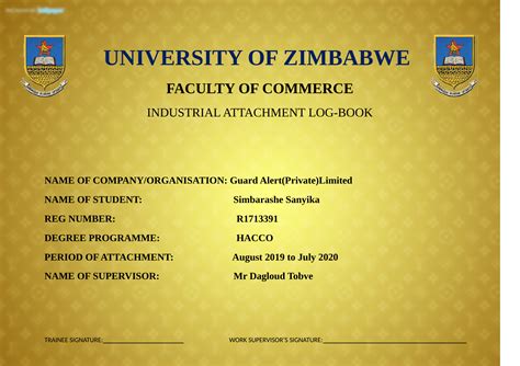 Internship Logbook Example Accounting Doc Faculty Of Economics Energy And Management Science