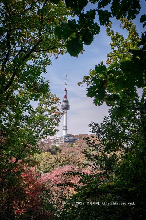 케이팝 데몬헌터스 속 서울명소 케데헌 따라 서울여행 네이버 블로그