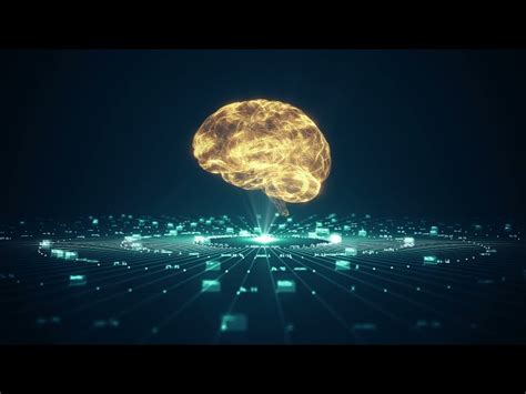 Insight Vision Ftbs Group