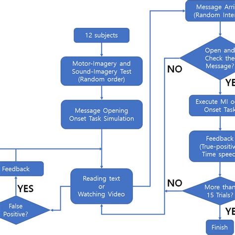 Block Diagram Of The Experimental Protocol Download Scientific Diagram