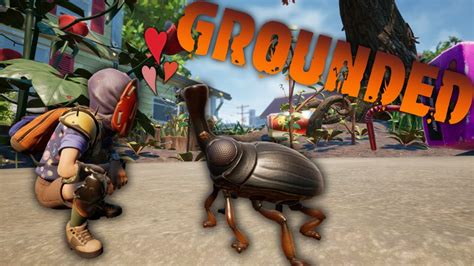 Pet Weevil Grounded At Makayla Moffatt Blog