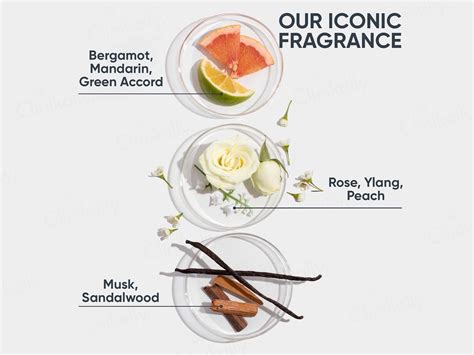 Buy Biolage Advanced Scalppure Anti Dandruff Shampoo Online At Best Price Clinikally