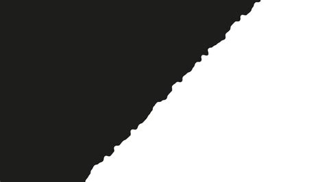 Fondo Blanco Y Negro Vector Premium